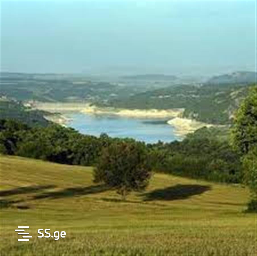 Land For Sale. Chkhikvta, 88900 $ - 6326135 | ss.ge