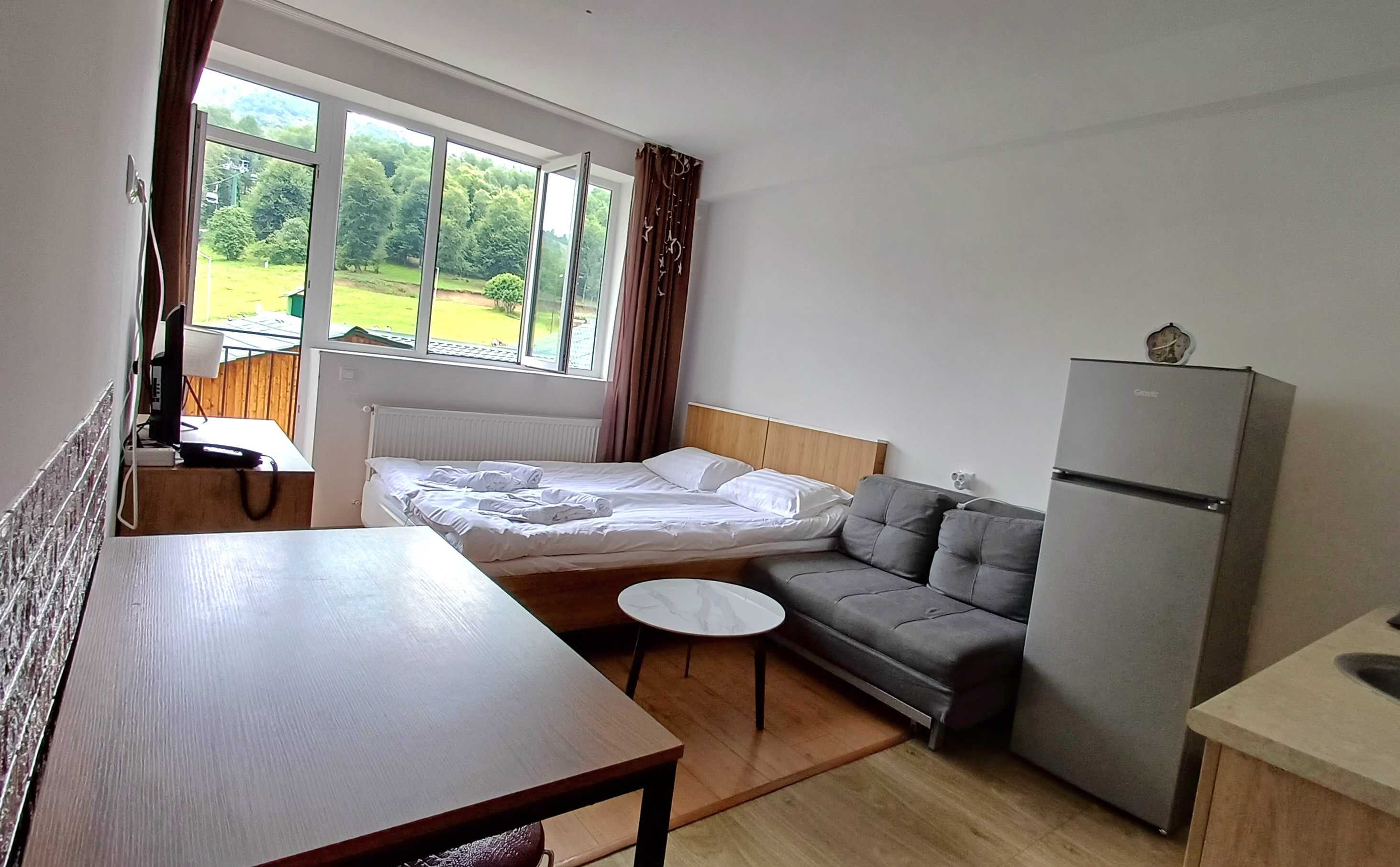 1 room Hotel Daily rent. Bakuriani, 50 Lari - 30029727 | ss.ge