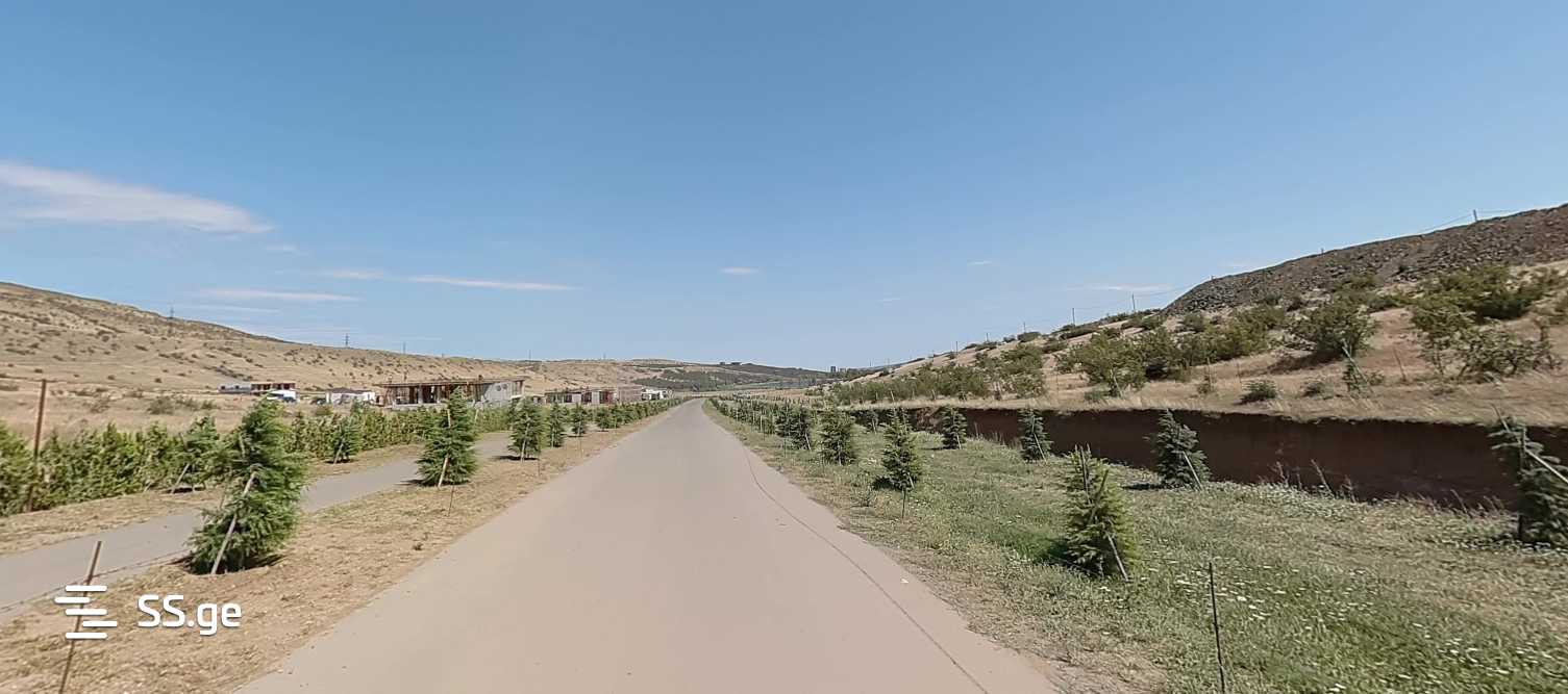 Land For Sale. Lisi lake , 1710000 $ - 30794287 | ss.ge