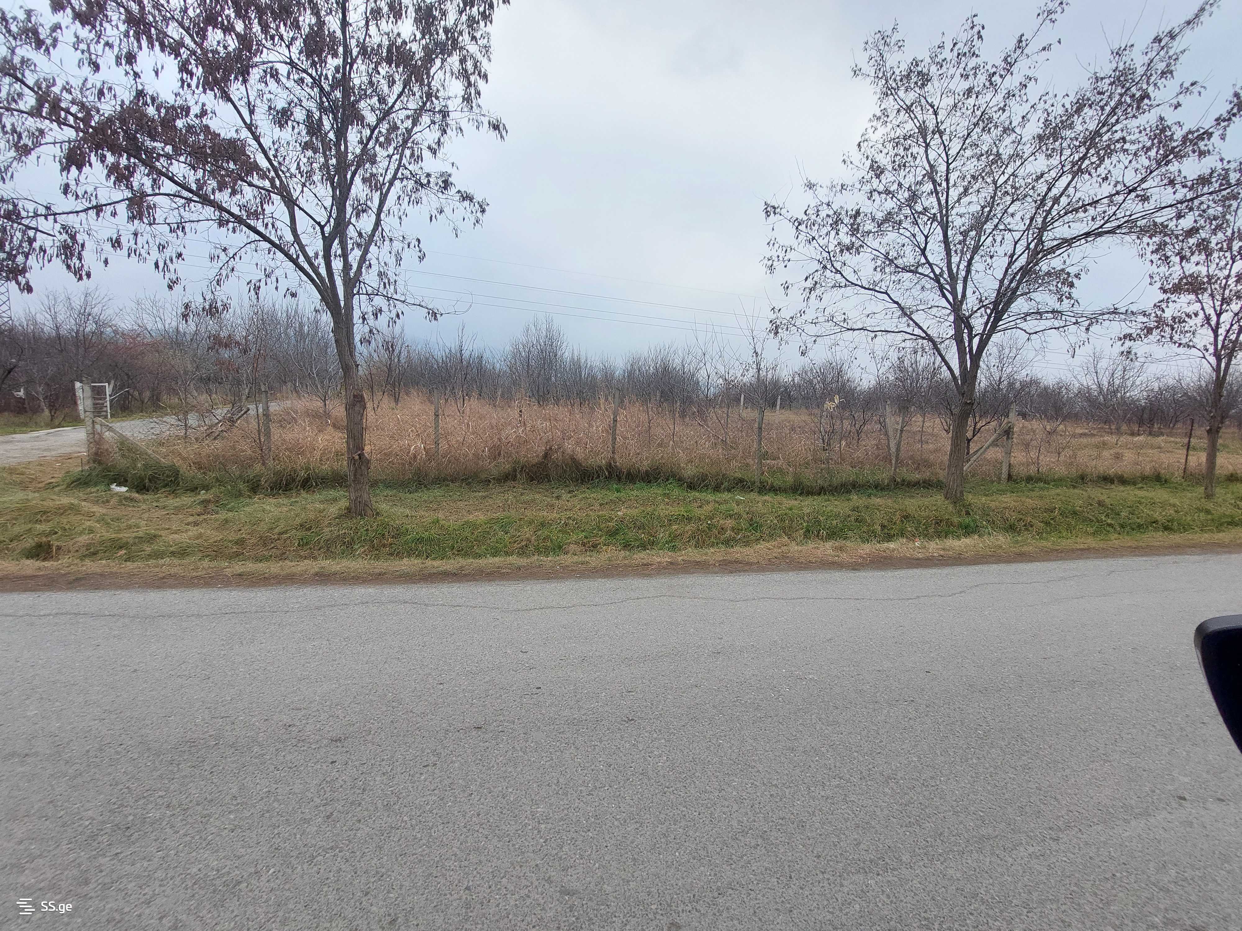 იყიდება მიწის ნაკვეთი წეროვანში, 35500 $ - 30865482 | ss.ge
