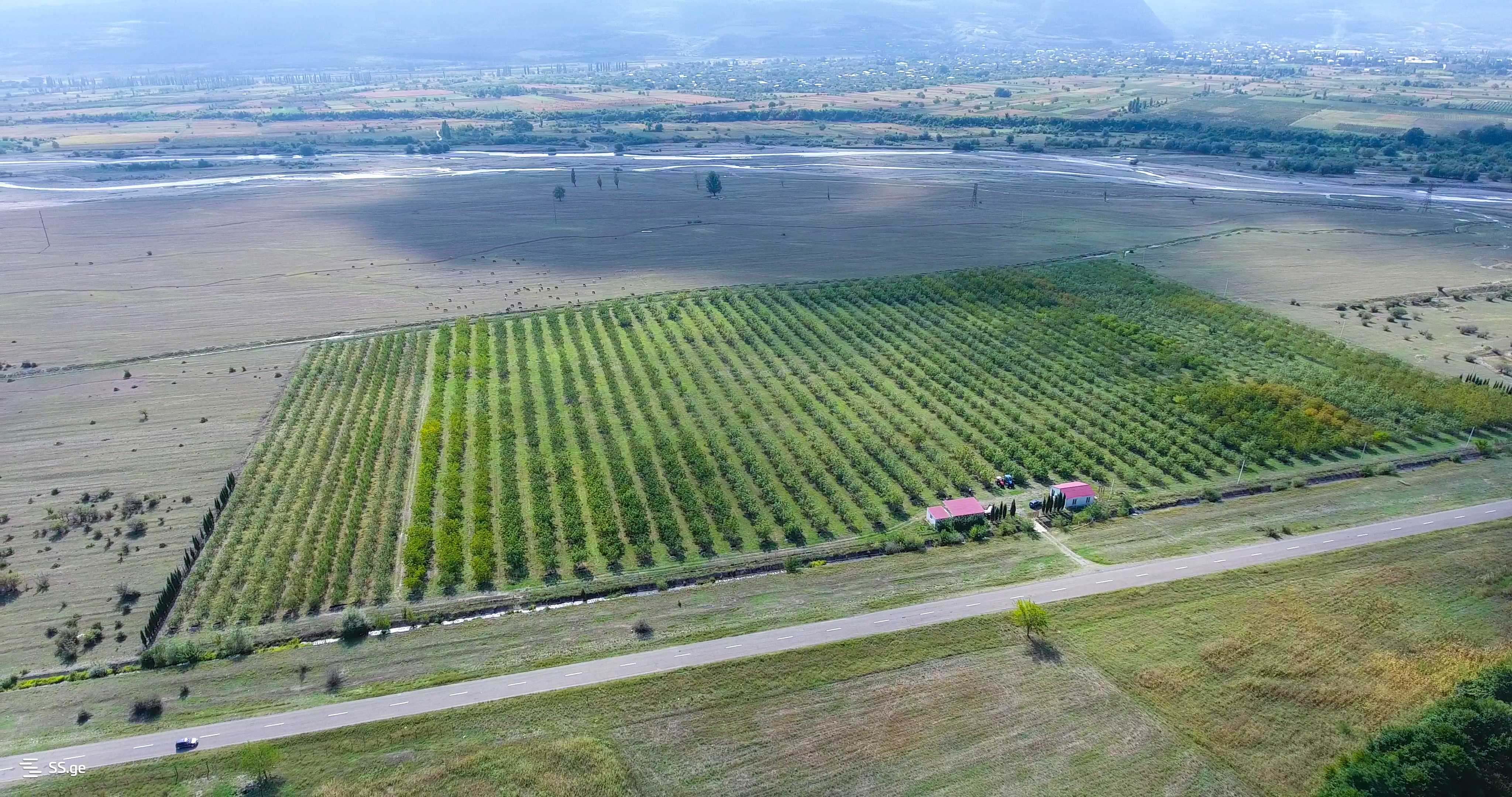Land For Sale. Zemo Alvani, 300000 Lari - 30974662 | ss.ge