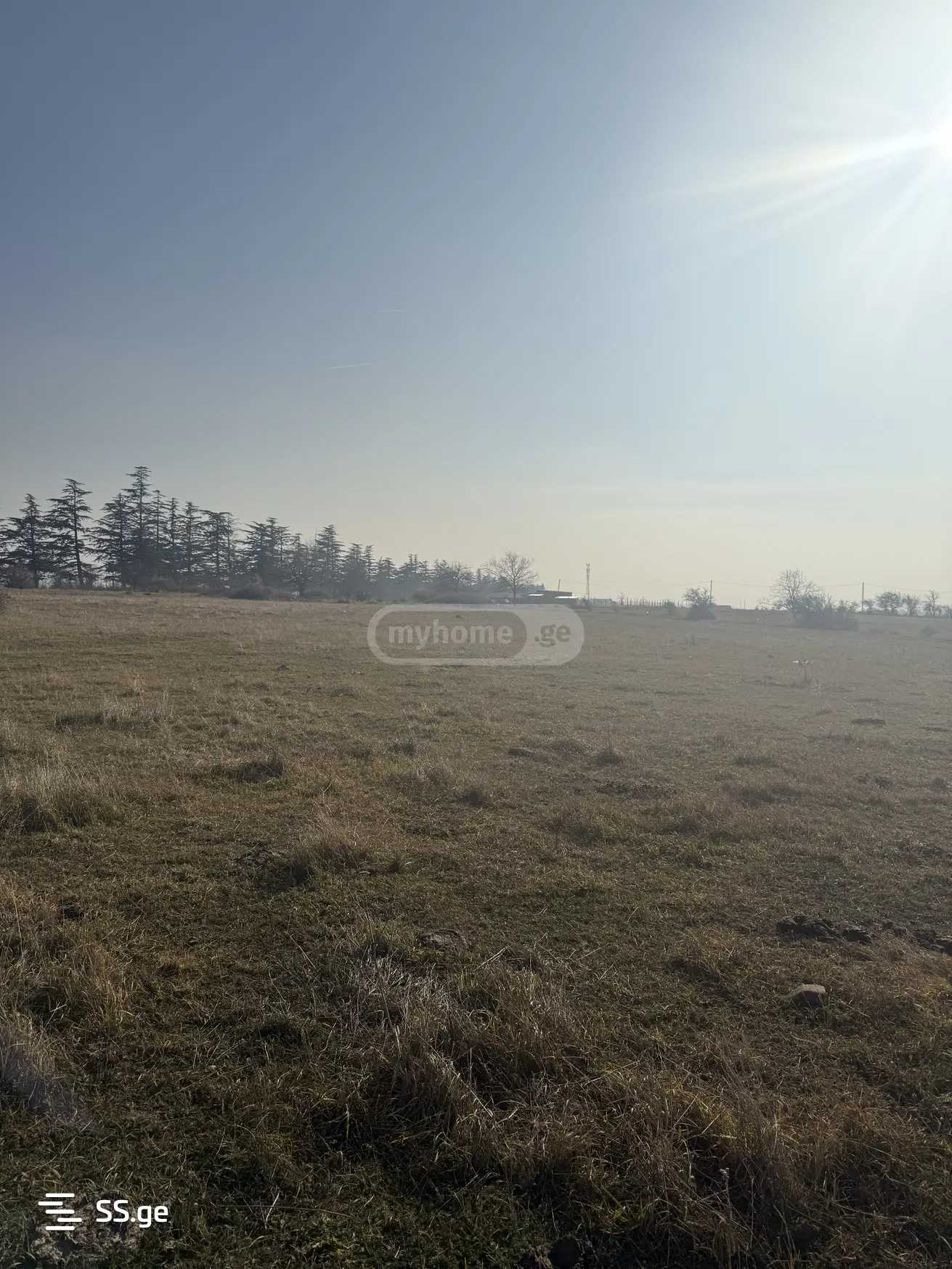 იყიდება მიწის ნაკვეთი სამგორში, 30000 $ - 34138437 | ss.ge